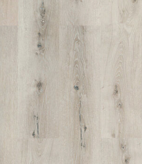 Invincible Plus Titanium